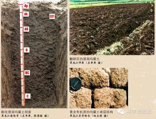 科学网—标尺边的中国土壤 科学出版社的博文