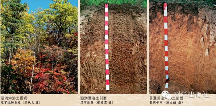科学网—标尺边的中国土壤 科学出版社的博文