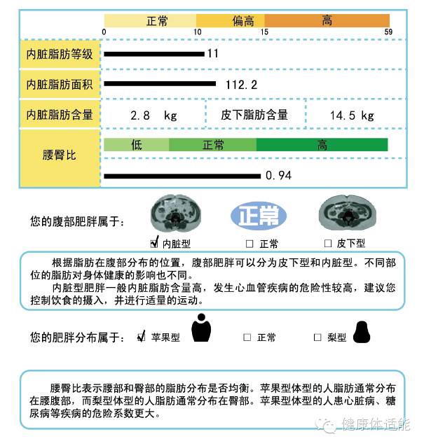 为什么你看着瘦，实际上是个胖纸？ | 自由微信 | FreeWeChat