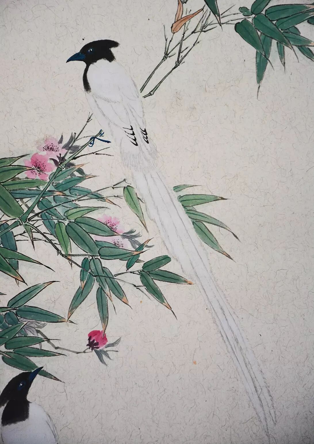 霜飞翠葆丨杜浩远丙申岁末花鸟画作选辑 | 自由微信 | FreeWeChat