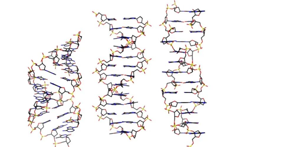 ZBP1，又一明星分子？ - 脉脉
