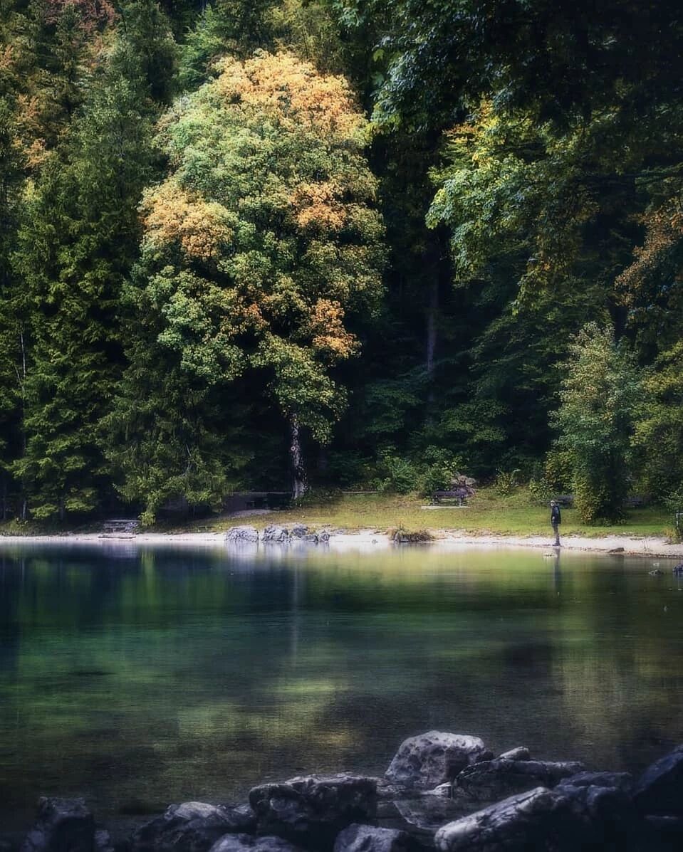 好图分享 : r/chn