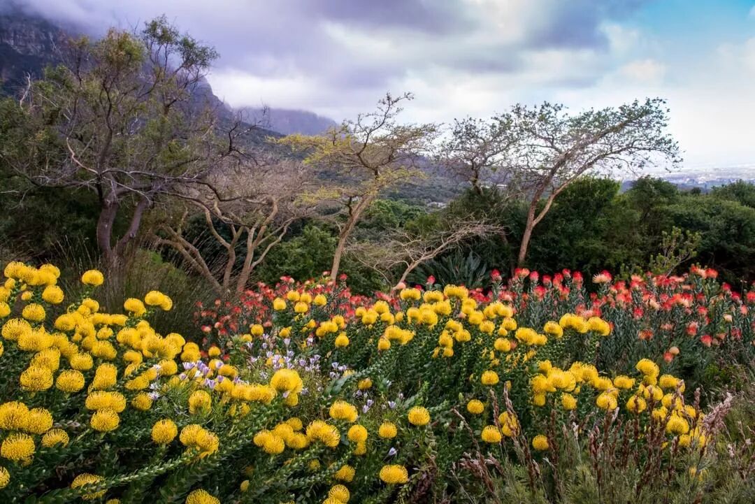 好图分享 : r/chn