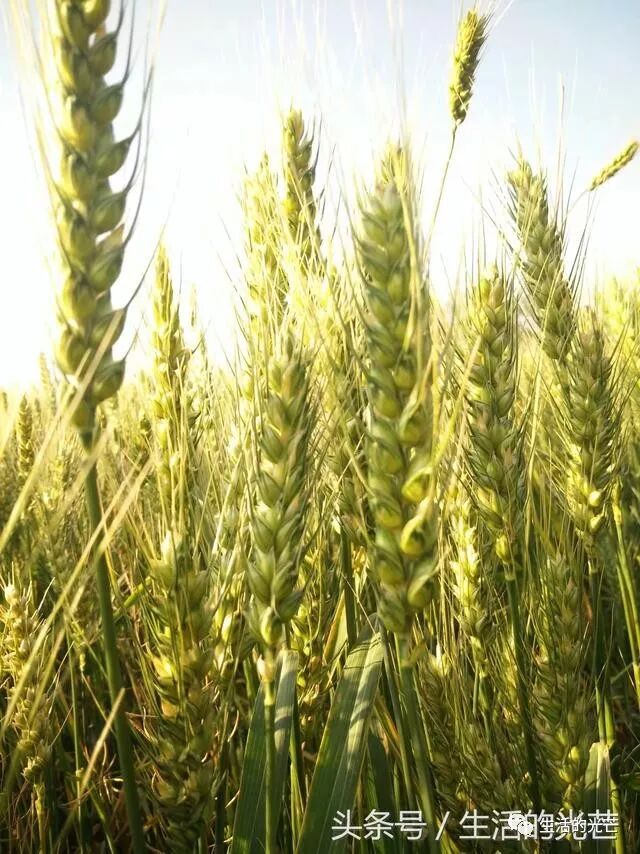 科技MR的生活应用，混合现实的实际前景-思考篇 | 自由微信 | FreeWeChat