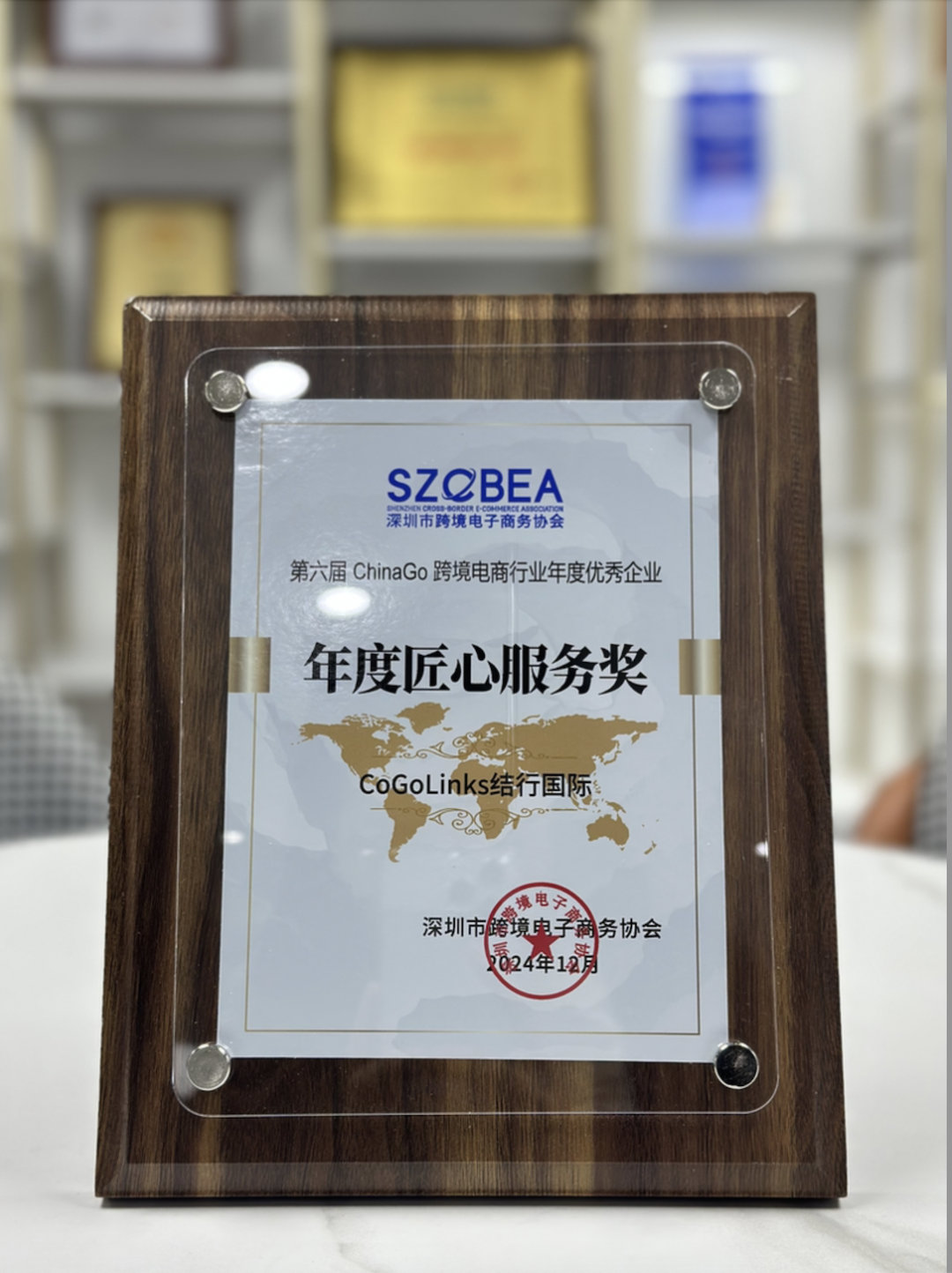 喜报丨CoGoLinks结行国际荣获第六届China Go跨境电商“年度匠心服务奖” - 脉脉