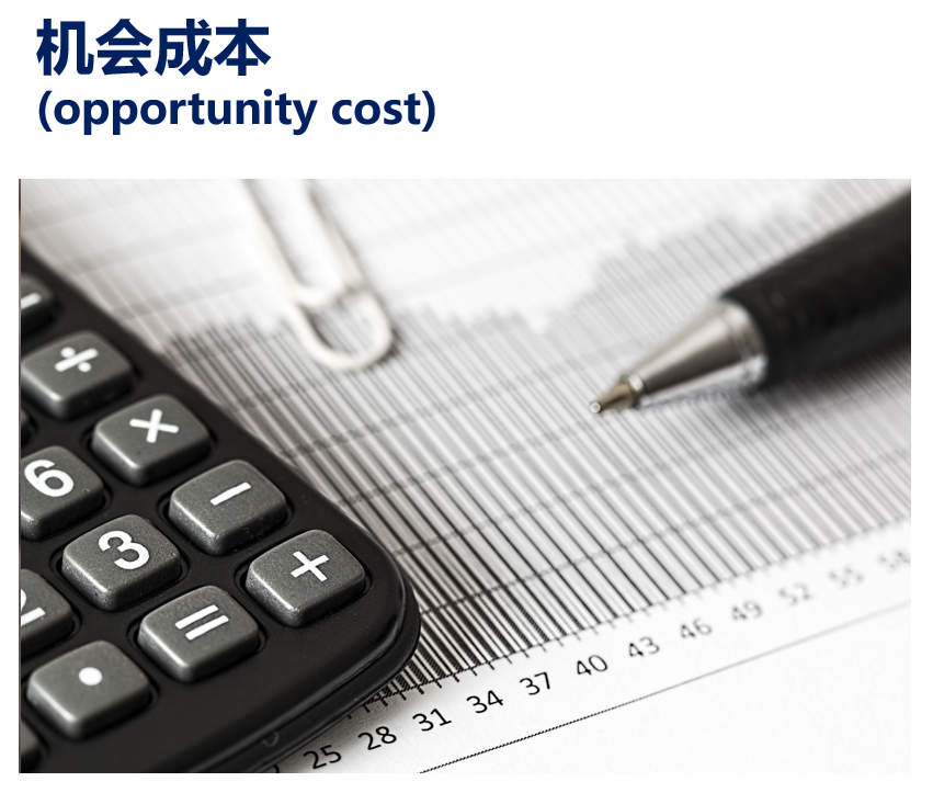 录取捷报｜Offer破千！OSSD究竟有怎样的魅力，能让名校如此青睐？ - 脉脉