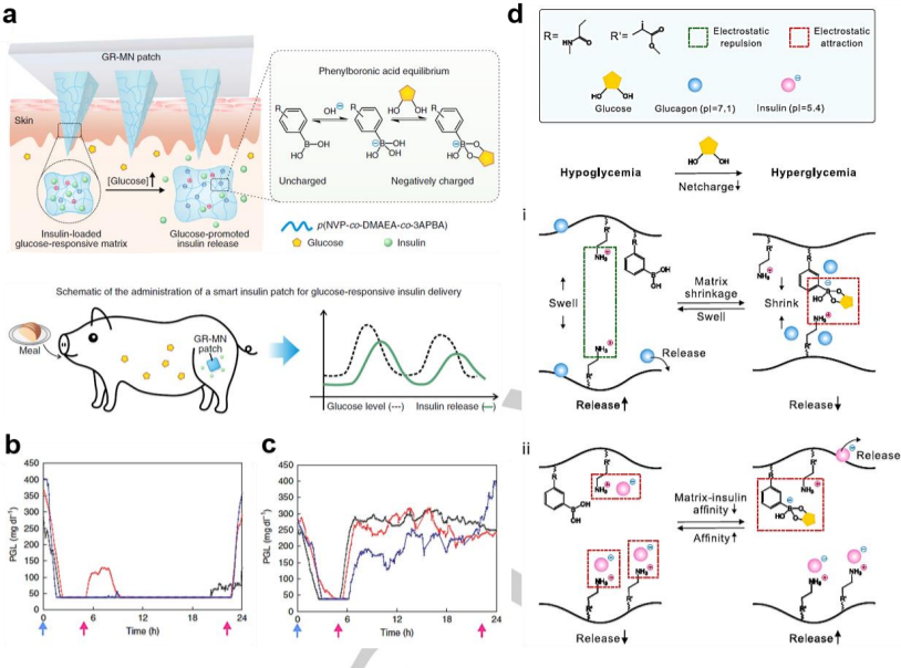 浙大药学院《Angew.》综述：口服和透皮蛋白给药系统的最新进展 - 脉脉