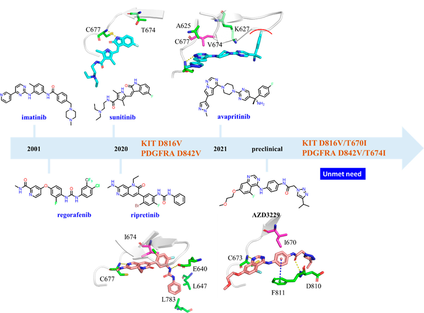 JMC综述| 靶向激酶门卫突变的药物研发 - 脉脉