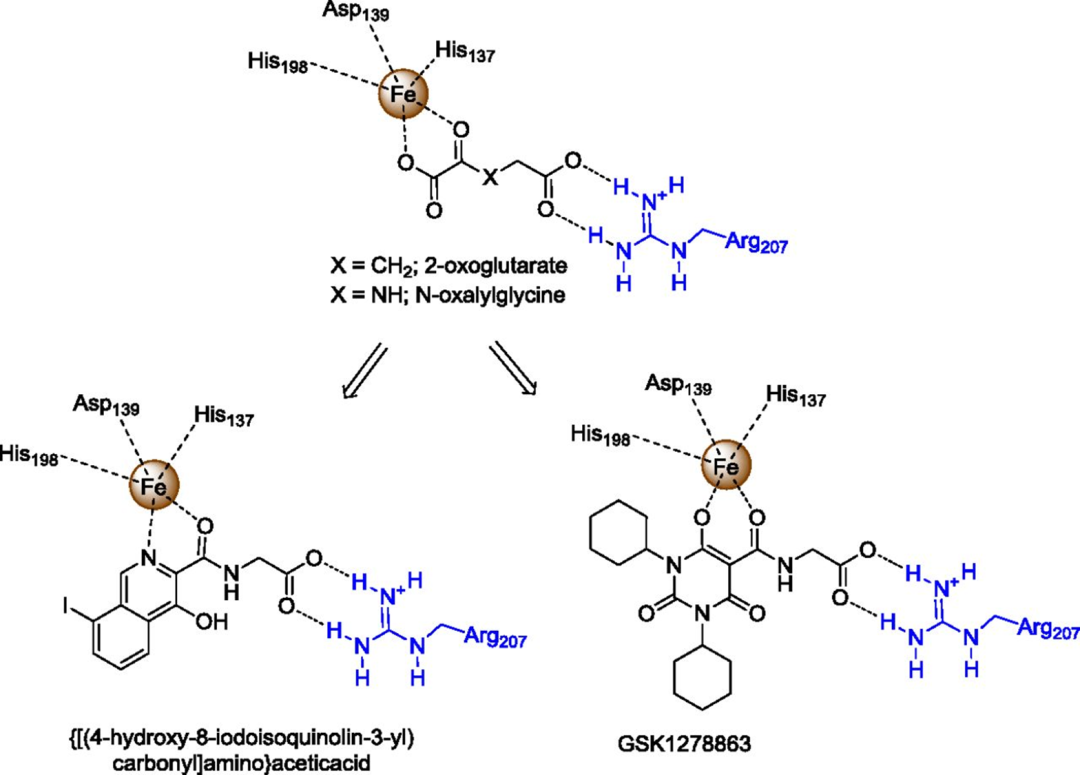 【一图看懂】2023Q1获FDA批准的小分子新药及药物设计思路 - 脉脉