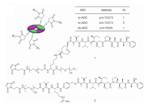 下一代新型ADC: 点击化学ADC - 脉脉