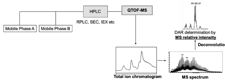 ADC药物抗体比(DAR)的表征分析方法 - 脉脉