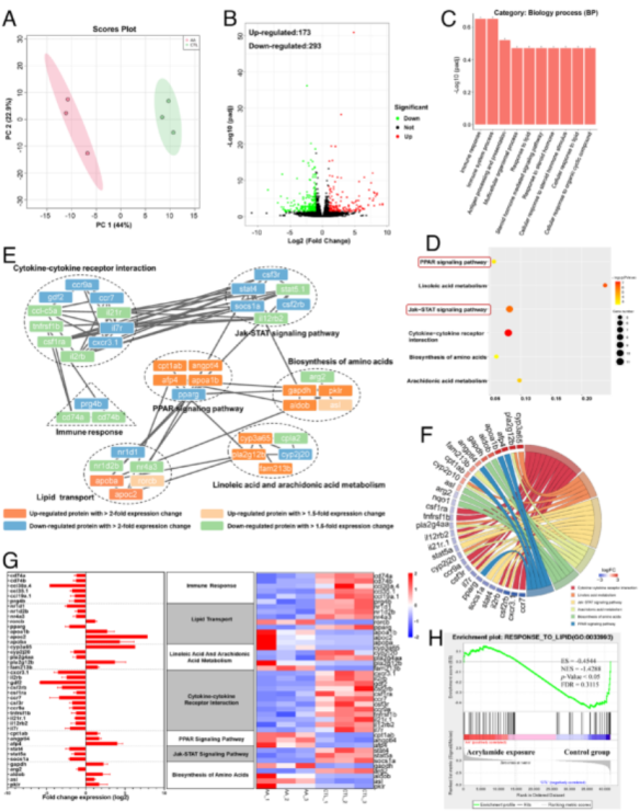 PNAS：14万人数据显示，频繁食用油炸食品，焦虑和抑郁风险分别增加 12% 和 7%！ - 脉脉