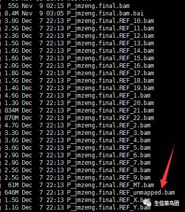 【直播】我的基因组（14）:bam文件给按照染色体给分割成小文件 | 生信菜鸟团
