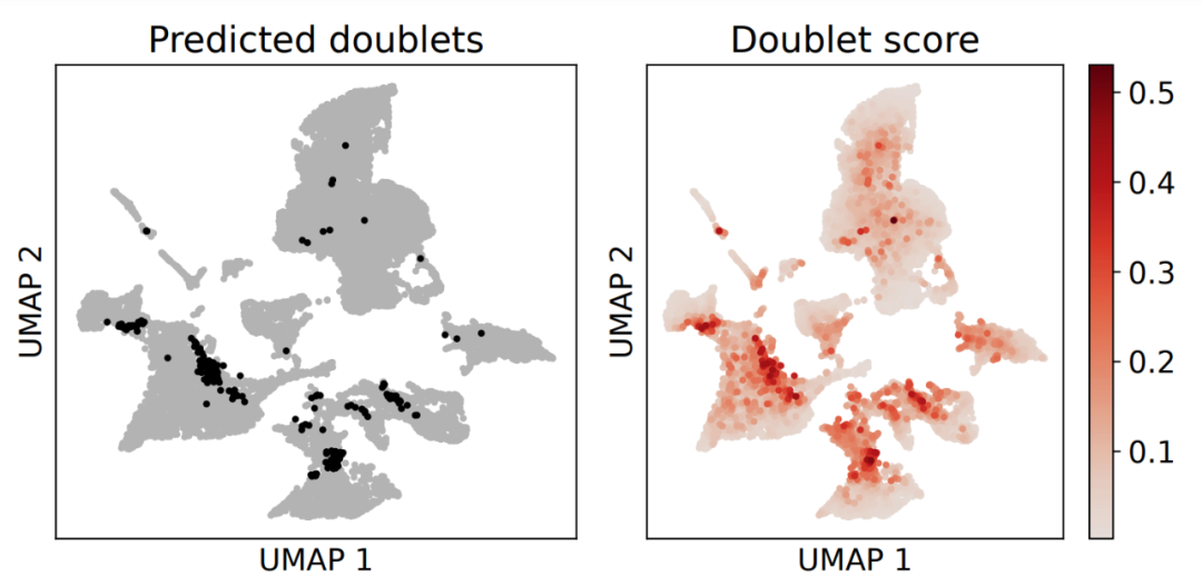 批量使用基于Python的Scrublet工具去除双细胞 - Py学习