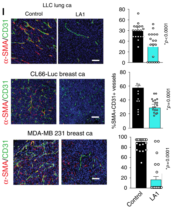 CD11b激动难做，能否改变思路？ - 脉脉