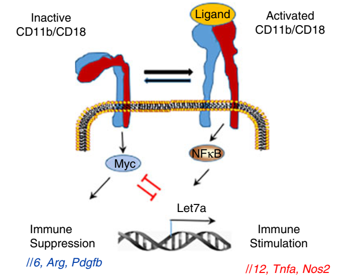 CD11b激动难做，能否改变思路？ - 脉脉