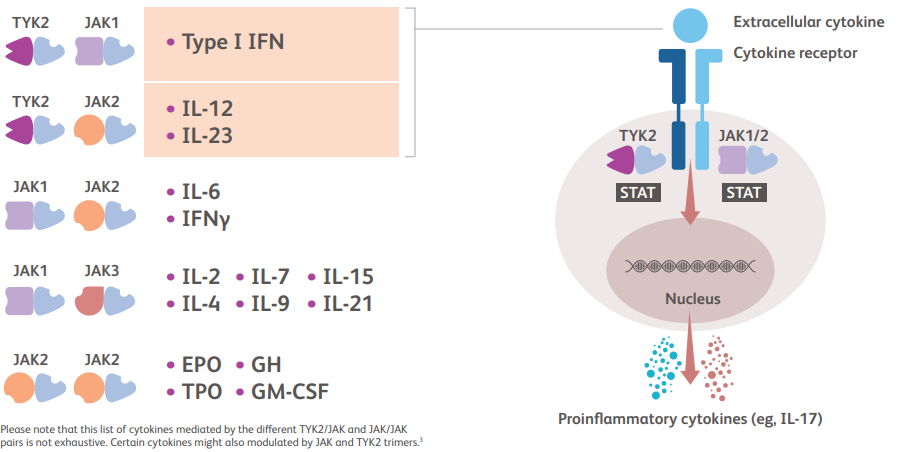TYK2 JH2靶点抑制剂研发进展盘点 - 脉脉