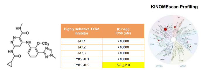 TYK2 JH2靶点抑制剂研发进展盘点 - 脉脉