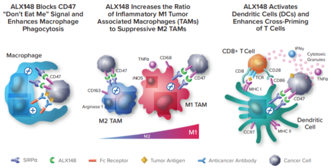 屡败屡战，CD47靶点是否还有未来？ - 脉脉