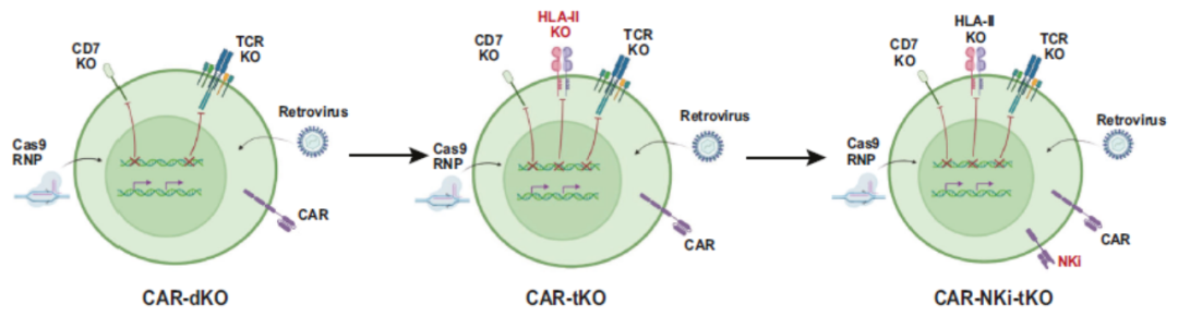 盘点丨CD7 CAR-T疗法研发难点及在研项目 - 脉脉
