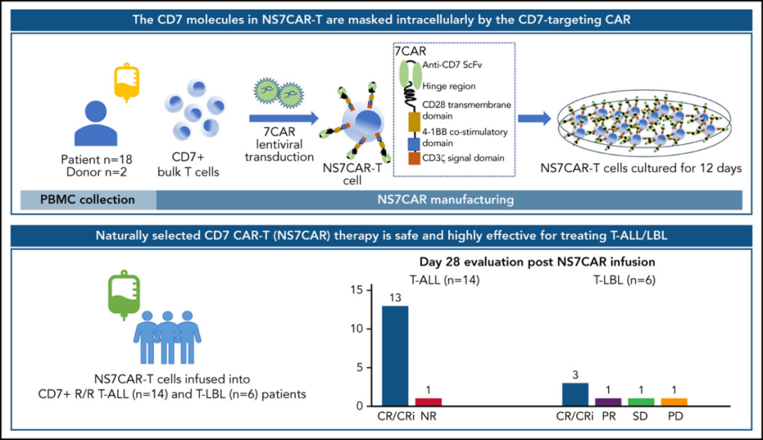 盘点丨CD7 CAR-T疗法研发难点及在研项目 - 脉脉
