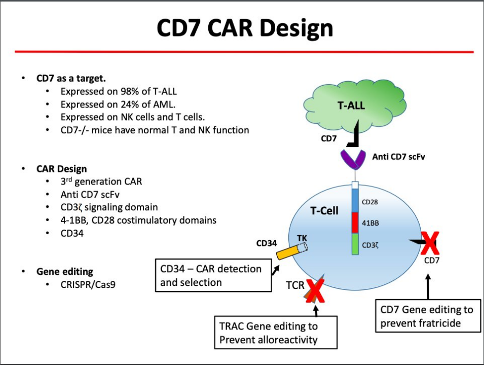 盘点丨CD7 CAR-T疗法研发难点及在研项目 - 脉脉