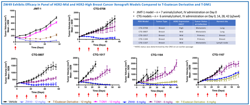 双抗ADC已悄悄上临床，让我们探探有哪些！ - 脉脉