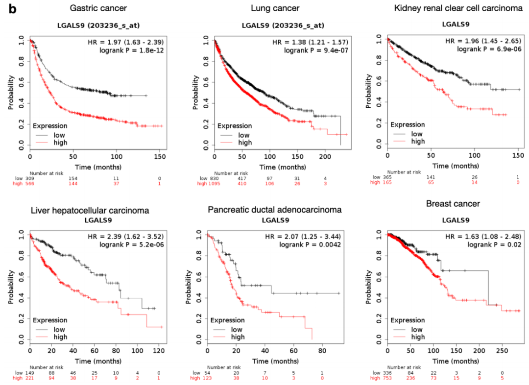 抗Galectin-9与GITR激动剂的协同抗肿瘤作用 - Py学习