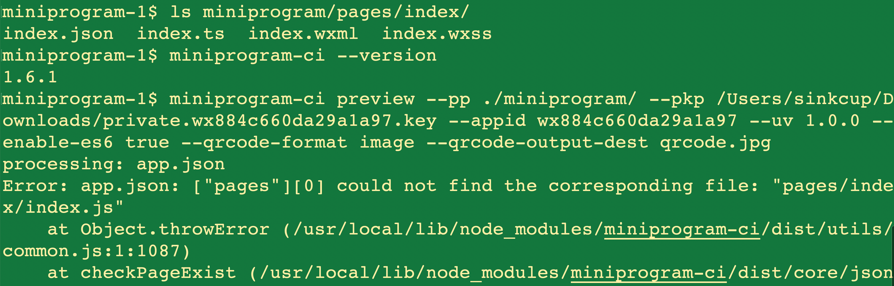 miniprogram-ci 在 ts 项目中报错 | 微信开放社区