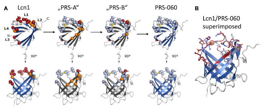 哮喘和特应性皮炎的重磅潜力靶点IL-4R研发进展 - 脉脉