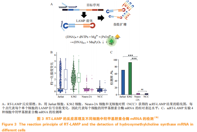 mRNA 检测技术研究进展 - 脉脉