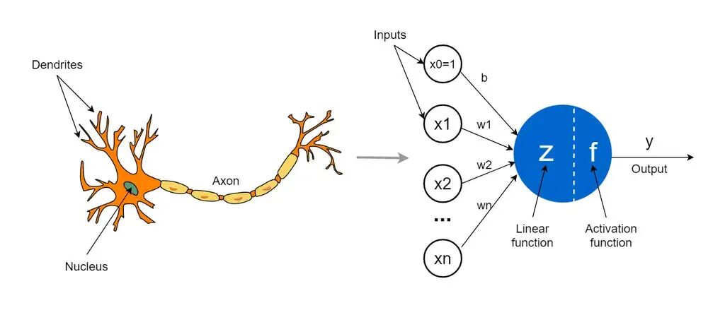 一文彻底搞懂深度学习 - 感知机（perceptron） - Py学习