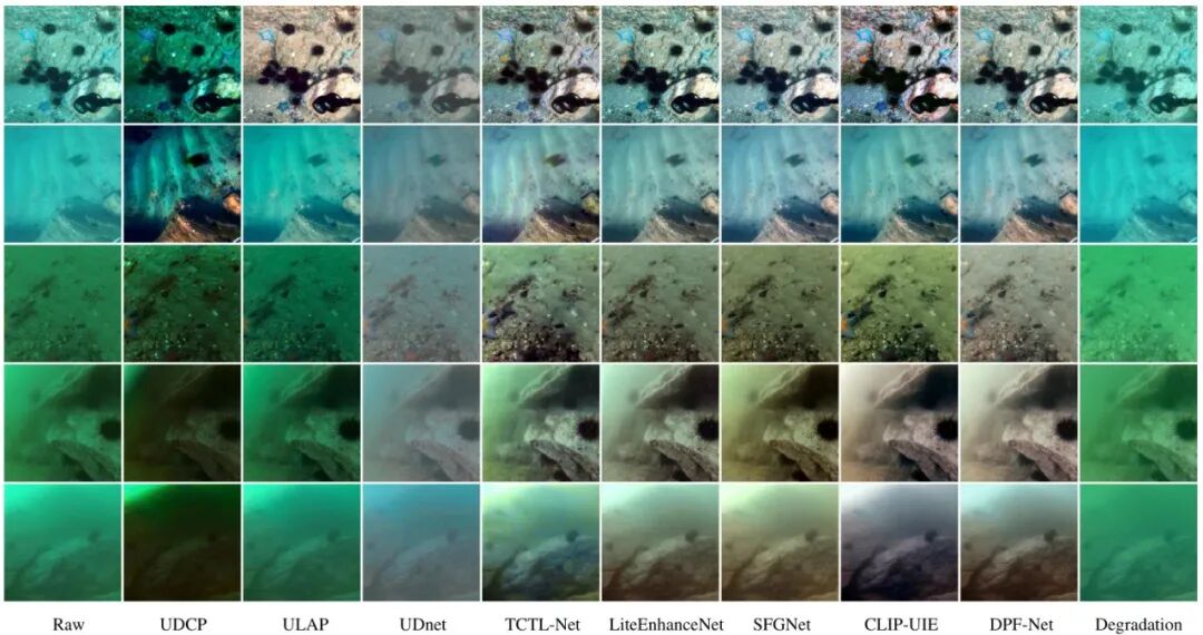 水下图像增强新突破！DPF-Net：物理模型与深度学习完美融合，让海底世界清晰可见 - Py学习