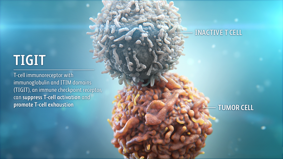 细数全球30款TIGIT药物研发进展（附最新药物管线图） - Py学习