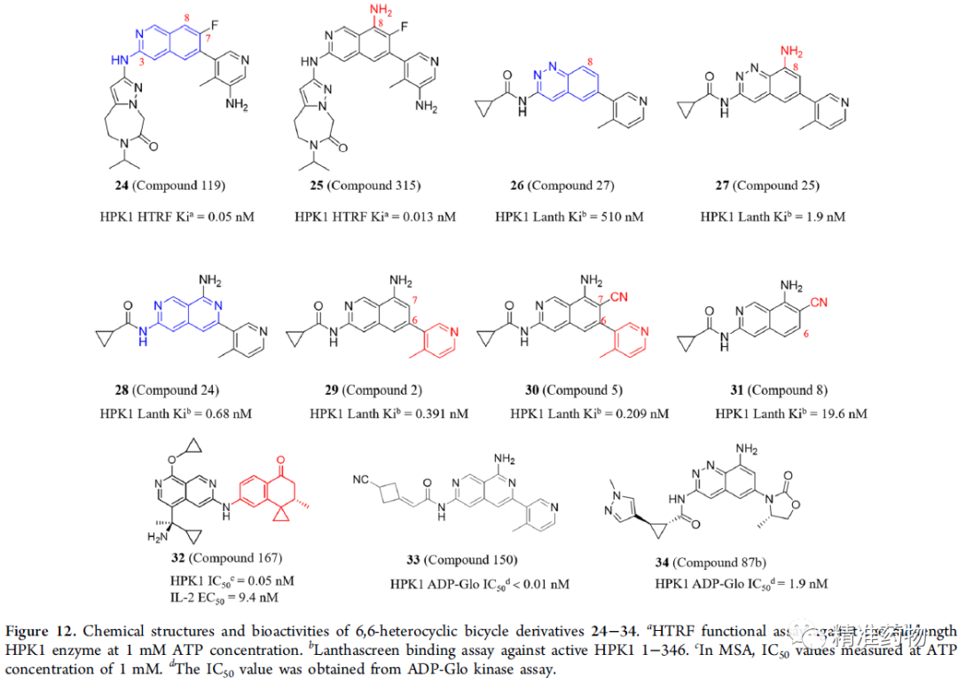 【JMC】免疫治疗新星：靶向HPK1的药物研发进展 - 脉脉