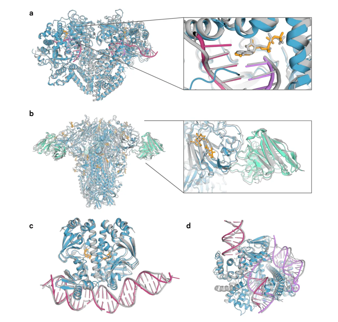 《AI4Sci 参考月刊》：OpenAI 剧变72小时 | 垂类语言大模型竞相亮相 | AlphaFold 进化至第三代 - 脉脉