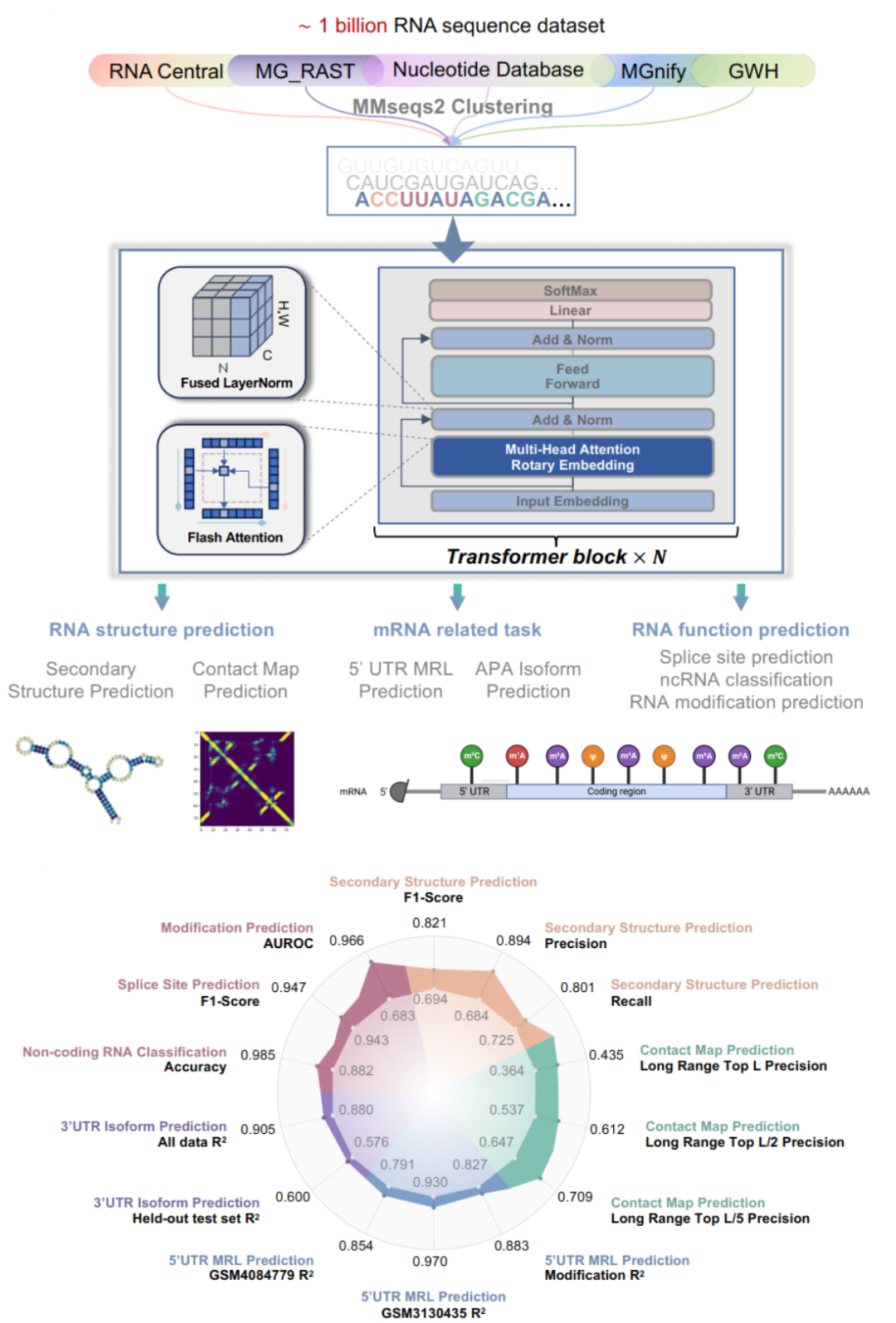 Uni-RNA还能干这个？｜“结构-性质-功能-表达”全能 - 脉脉