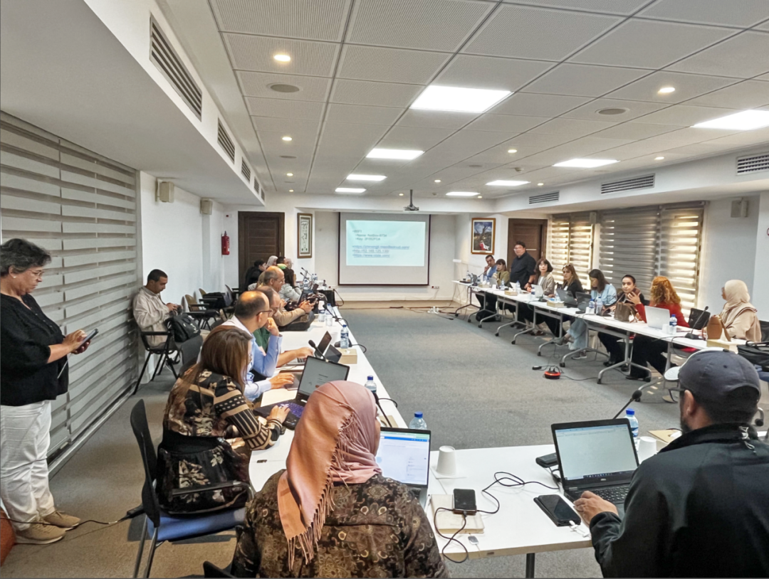 开启海外交流新篇章｜AIGC赋能人机协同教学高级研修营（第三期）圆满结束 - Py学习