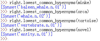 【Python&NLP】WordNet的应用_安立桐的博客-CSDN博客