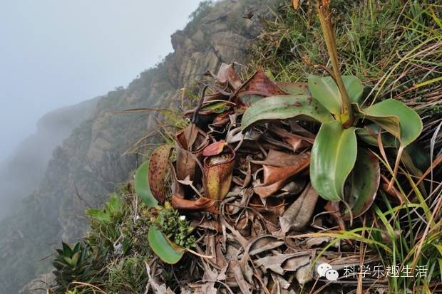 科学网—骄傲～以他的名字 - 王皓的博文
