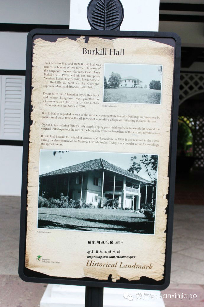 到胡姬花园看新加坡国花，热带兰花之美不虚此行 - 新加坡眼