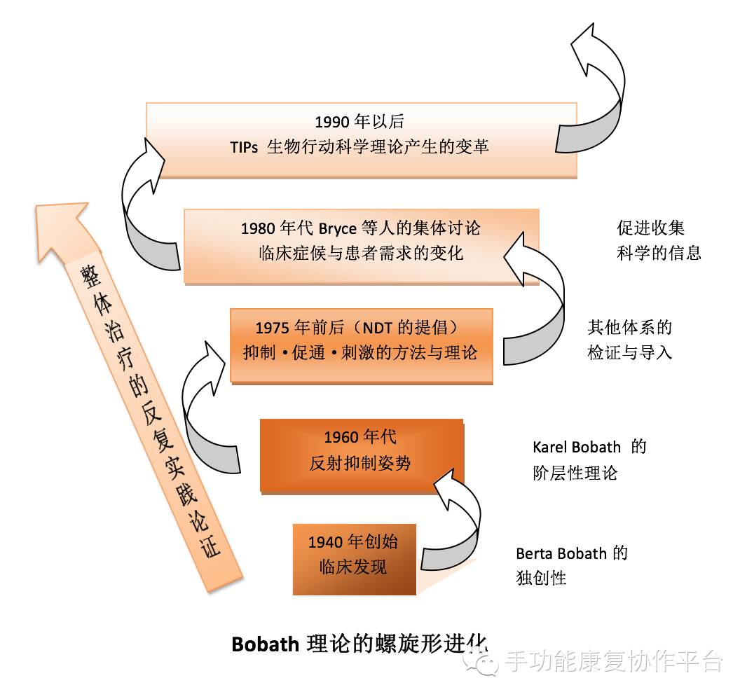 不同时期Bobath疗法对上肢手的康复治疗 - 好大夫在线