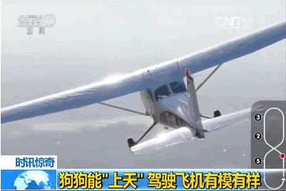 飞机 模型 600_337 gif 动态图 动图 - 动态图库网