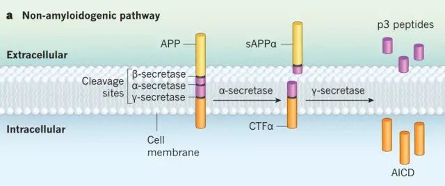 陕西富恒生物科技有限公司官网