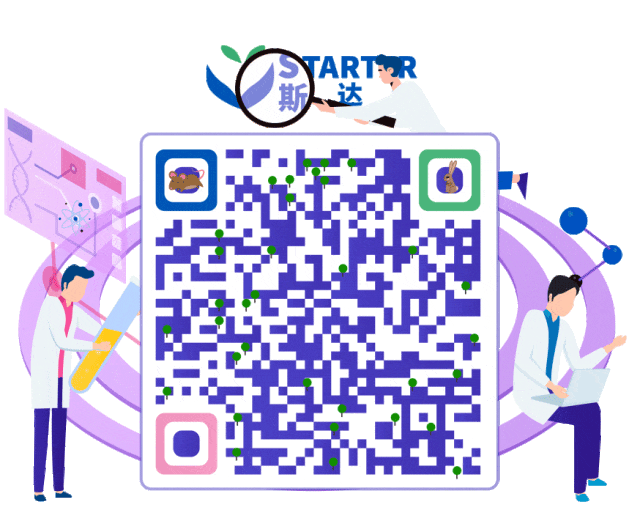 DT3C赋能ADC药物研发：高效检测抗体内化效率科研资讯生易网,Biolabx.cn,Xcelerate Biolab Research