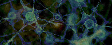 Cell 子刊发表全球进展最快的癫痫iPSC干细胞疗法论文，将发作频率减少95%医药新闻-ByDrug-一站式医药资源共享中心-医药魔方