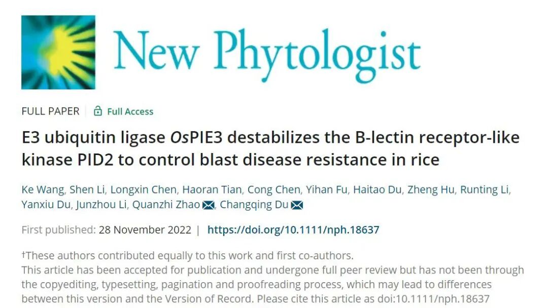 河南农业大学研究发现新的稻瘟病调控因子，并揭示了其协同稻瘟病主效抗性基因PID2调控稻瘟病的新机制_农化专利网