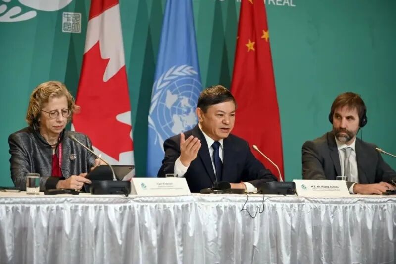 【重点关注】COP15 COP26 COP27？一文讲清楚！-企业官网