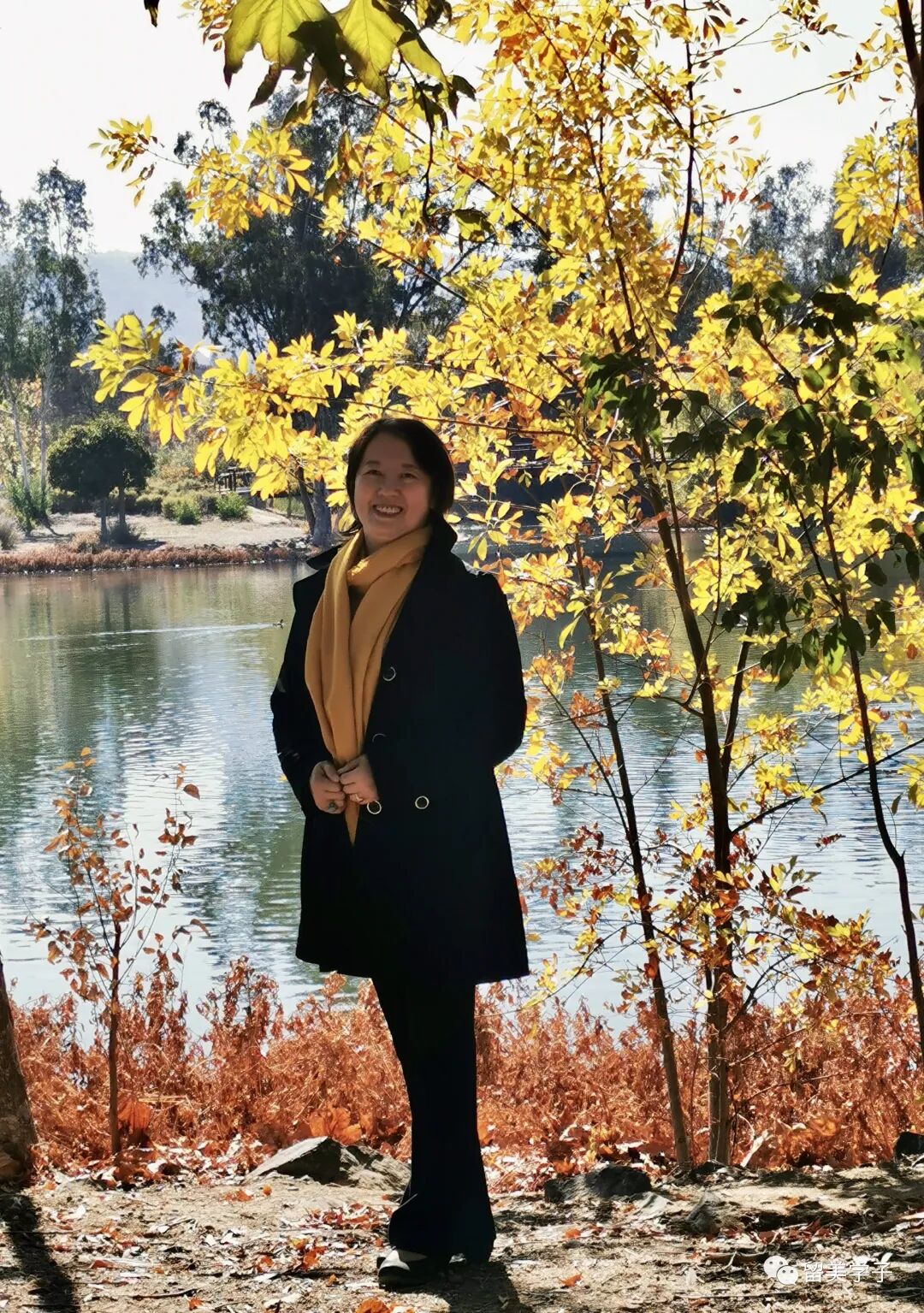 【触摸美国10】我家落户的金矿之传奇 | 自由微信 | FreeWeChat