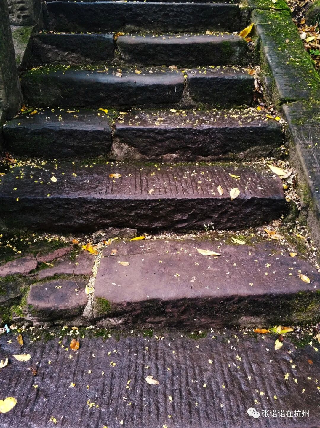 过日子丨08：老来难得欢喜人 | 自由微信 | FreeWeChat